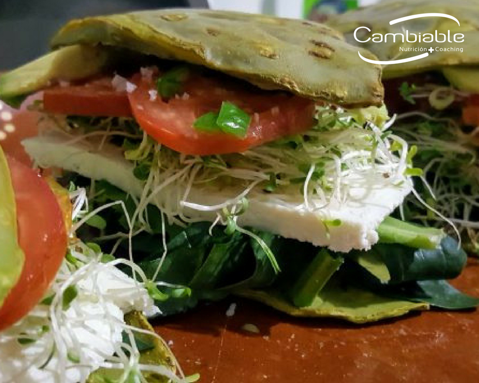 SÁNDWICH A BASE DE NOPAL – Cambiable-Nutricion