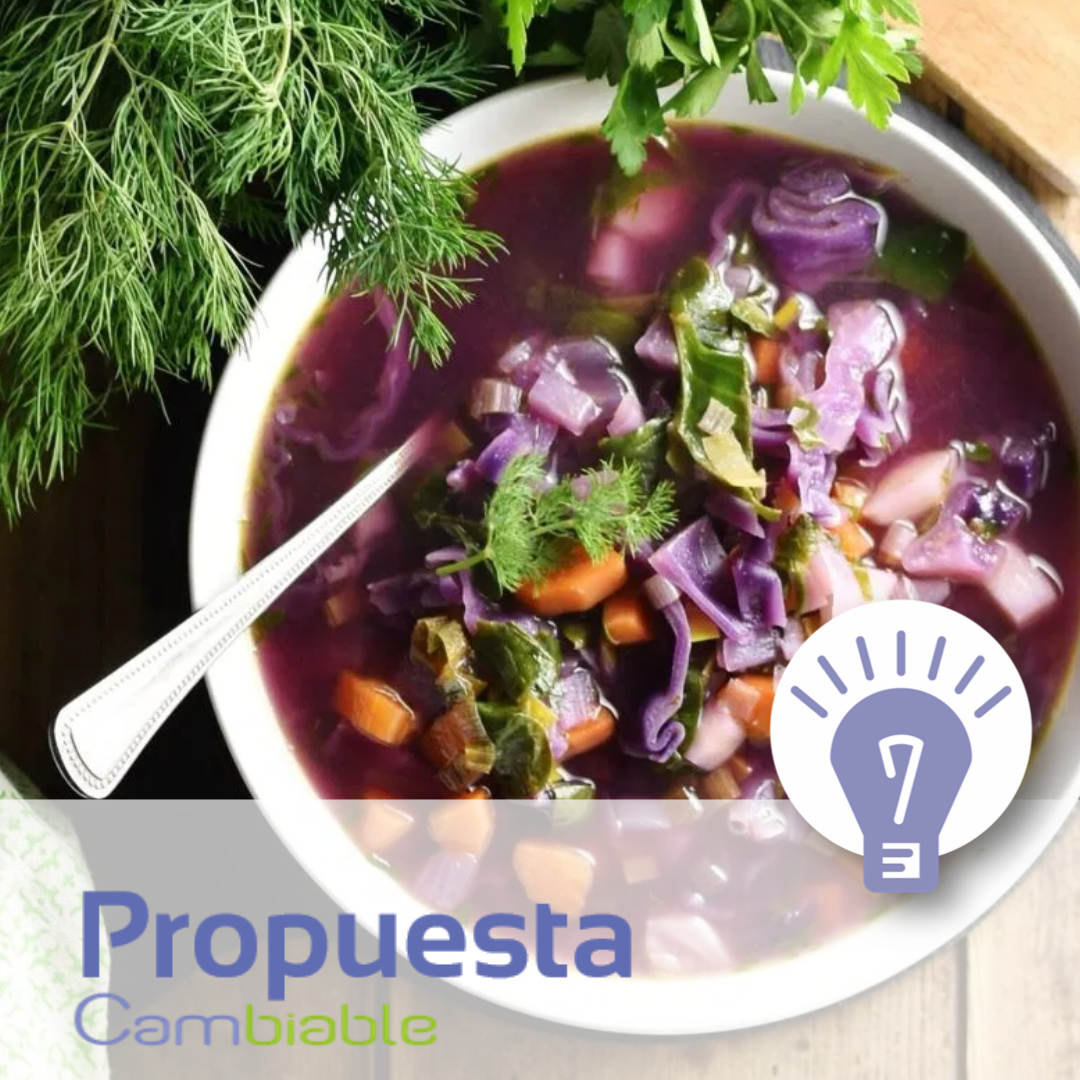 SOPA DE COL MORADA – Cambiable-Nutricion